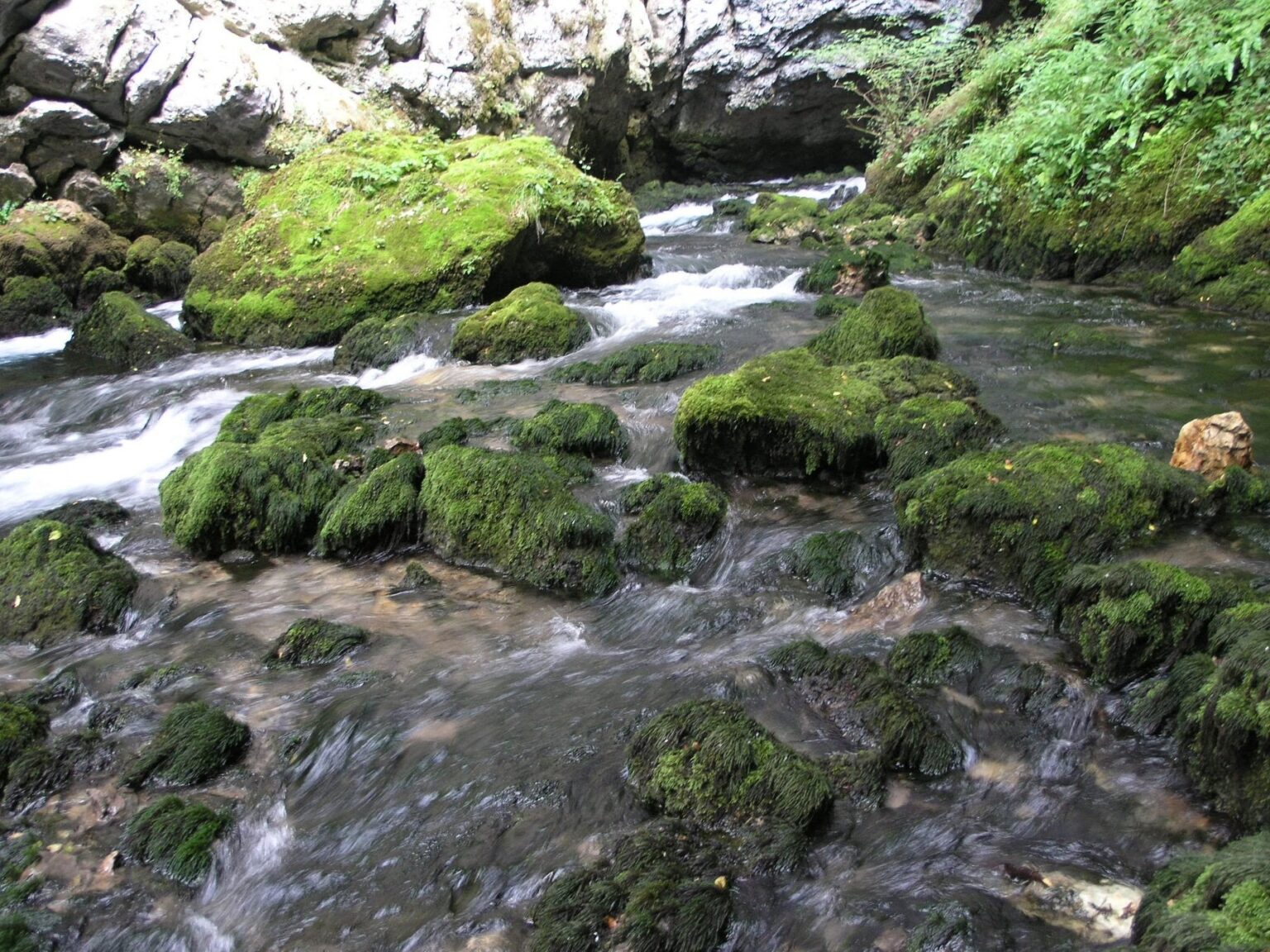 NAKON 10 GODINA BORBE: Izvori rijeke Sane proglašeni spomenikom prirode ...
